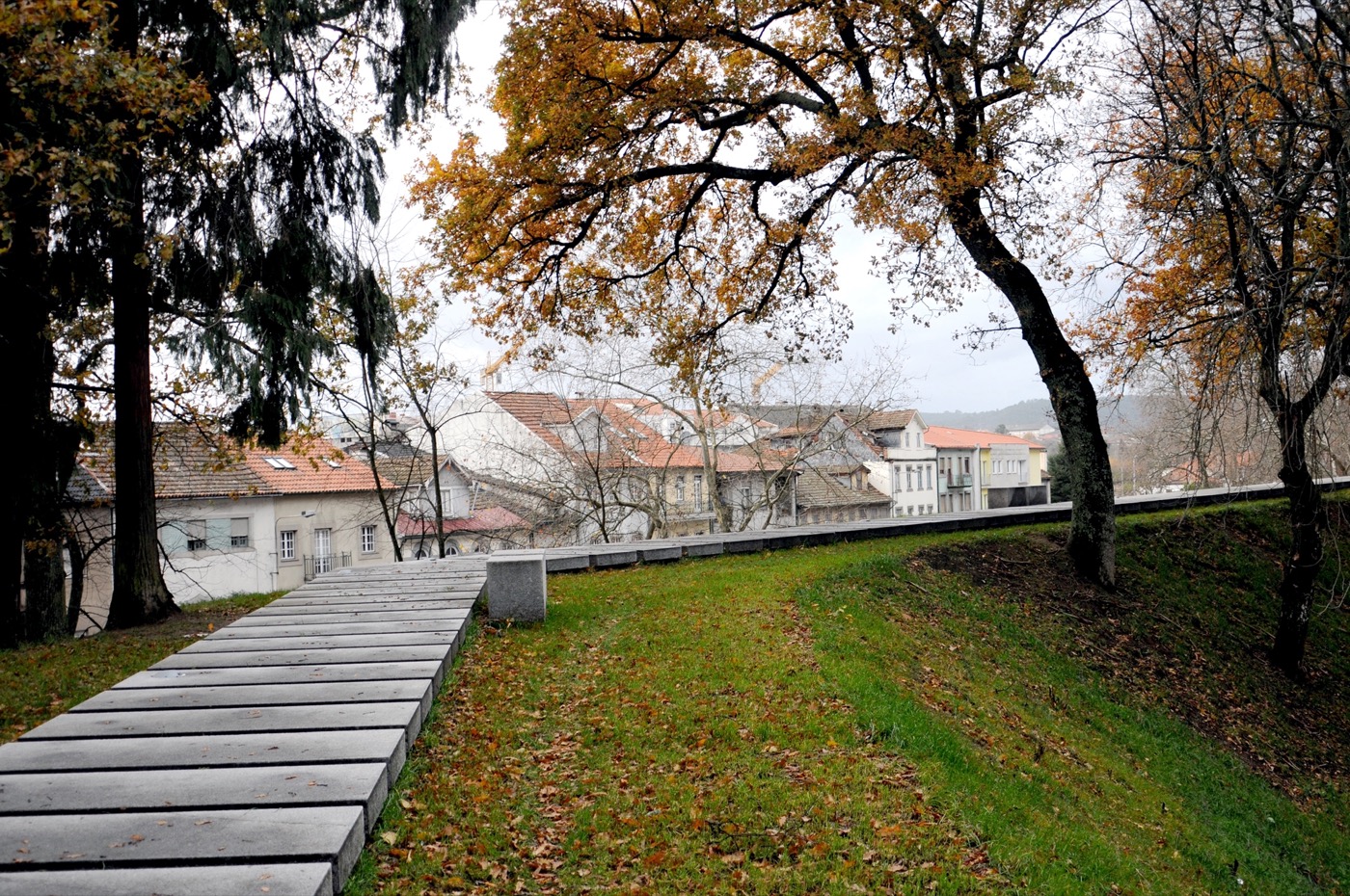 Cava do Viriato Urban Regeneration by PROAP – Estudos e Projectos de ...