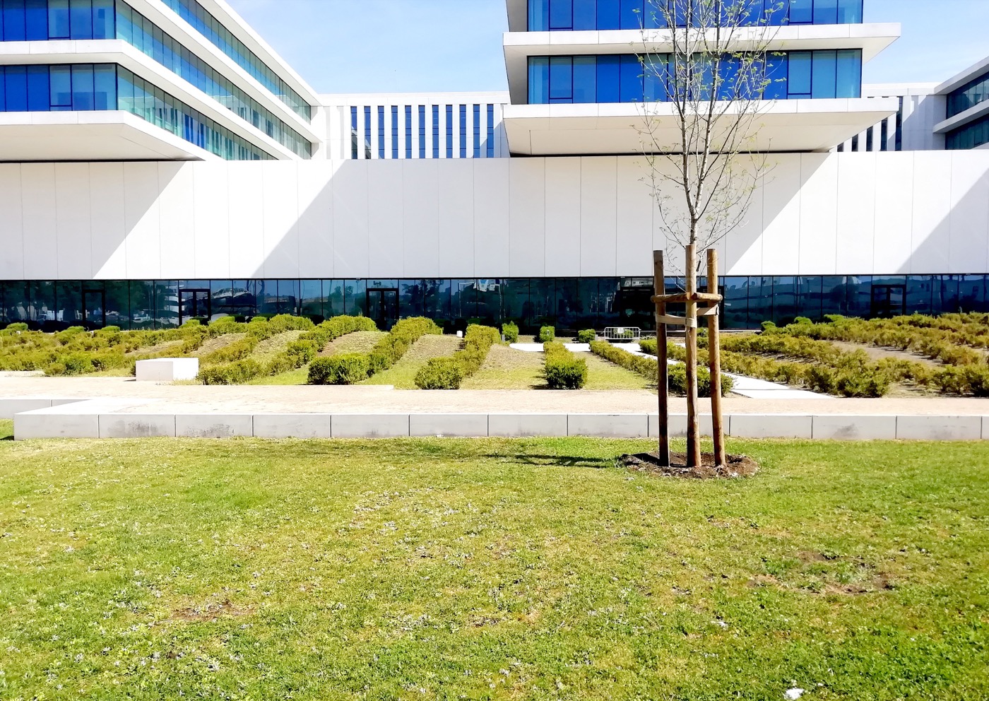 Gardens and Patios for the CUF Tejo Hospital by PROAP – Estudos e ...