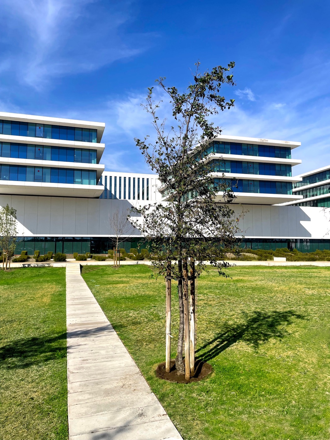 Gardens and Patios for the CUF Tejo Hospital by PROAP – Estudos e ...
