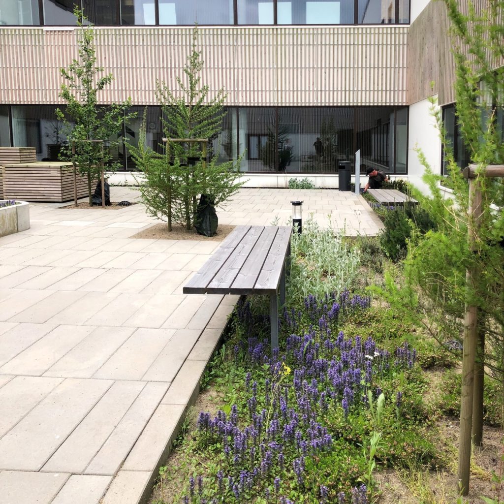 DNV Gødstrup by VEGA landskab « Landezine International Landscape Award ...