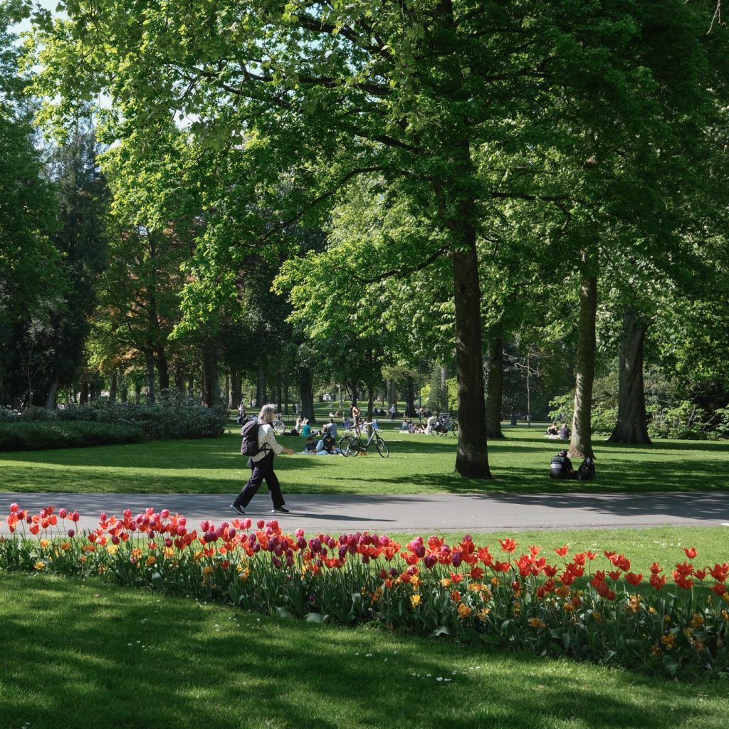 Park Valkenberg Breda by Bureau B+B « Landezine International Landscape ...