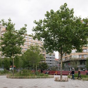 Greening of Flagey and Sainte-Croix Squares – Brussels by Kollektif ...