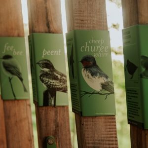 Land Bridge & Prairie at Memorial Park by Nelson Byrd Woltz Landscape ...