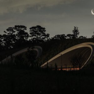 Land Bridge & Prairie at Memorial Park by Nelson Byrd Woltz Landscape ...
